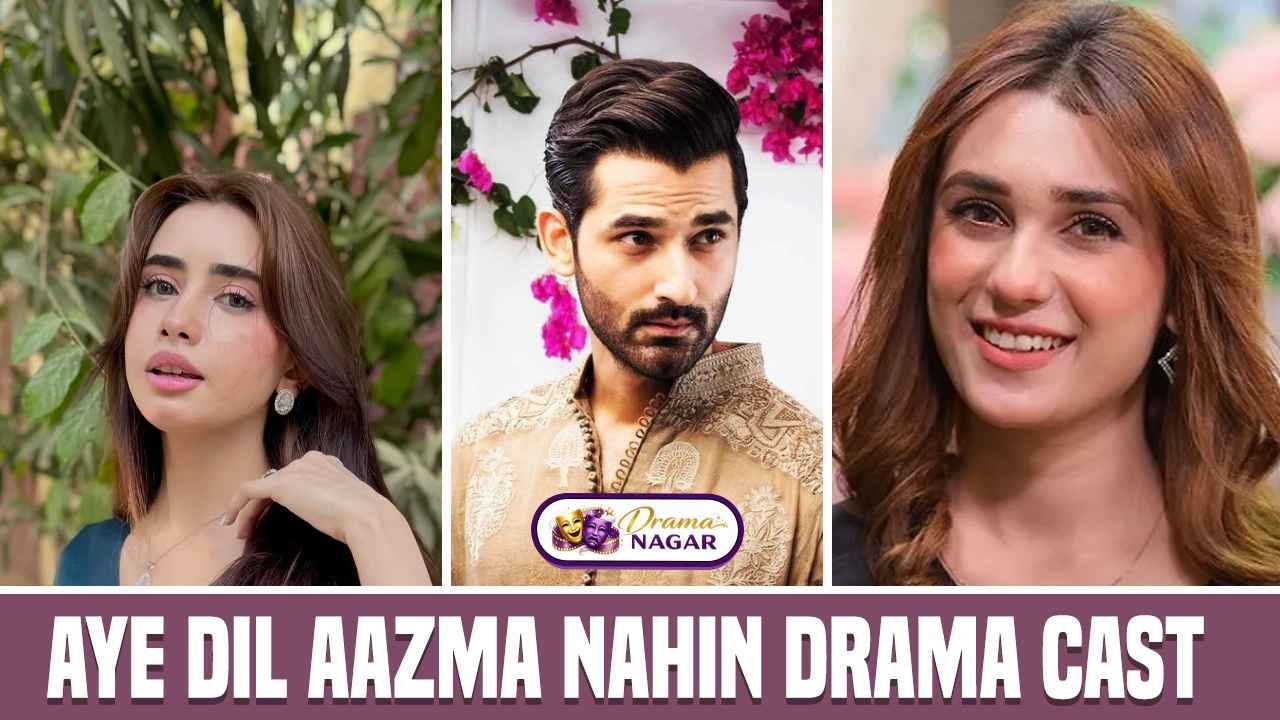 Hina Tariq's New Drama Aye Dil Aazma Nahin Cast Release Date, OST ...