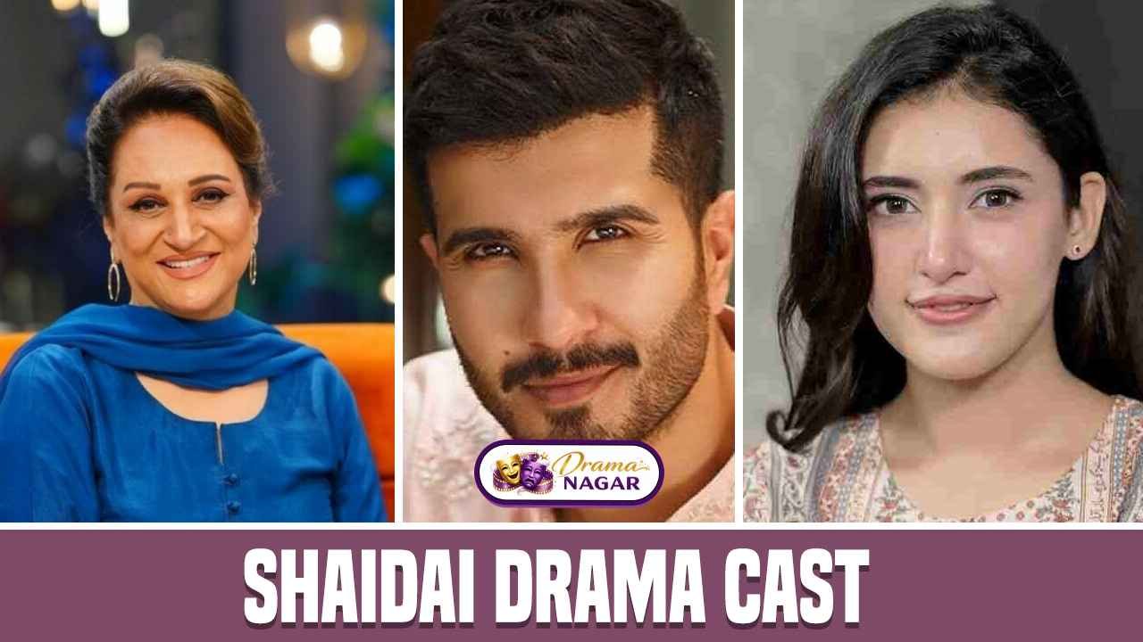 Shaidai Drama Timing, Cast, Release Date, OST & Story - dramanagar.com